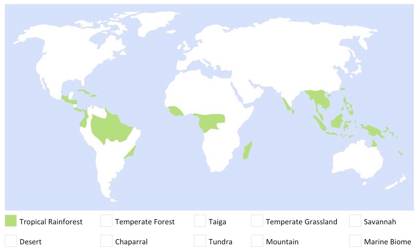 Temperate Rainforest Biome Map