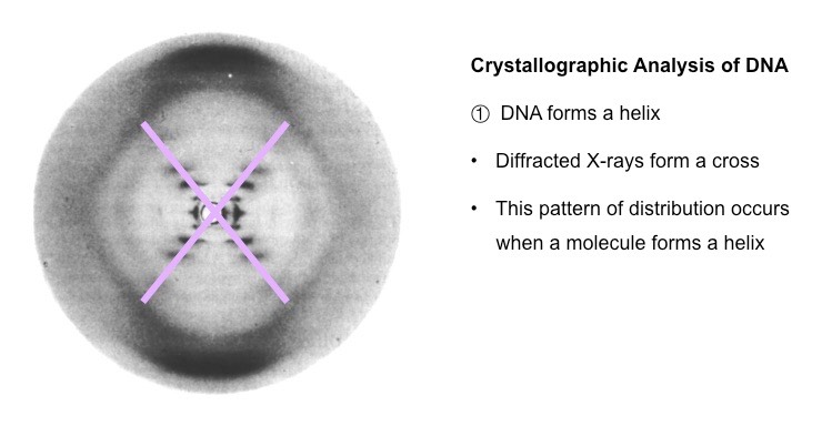 X Ray Diffraction Pattern Dna Francis Villatoro On X: "Rosalind
