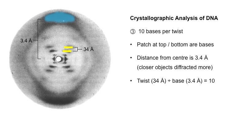 X Ray Diffraction Pattern Dna Francis Villatoro On X: "Rosalind