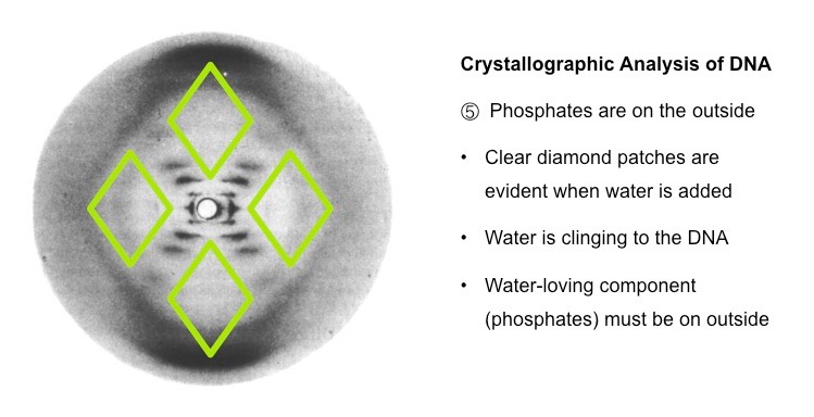 X Ray Diffraction Pattern Dna Francis Villatoro On X: "Rosalind