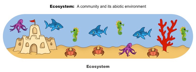 Community Definition Biology