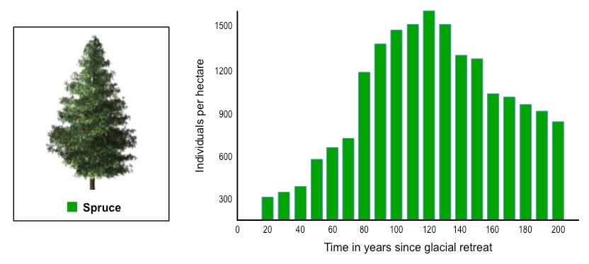 Ecological Succession Graph Ecological Succession: Primary & Secondary